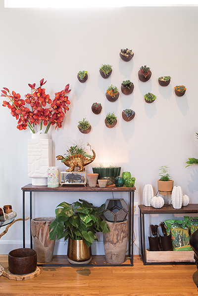 Articulture Designs Puts Plants on Display - Austin Home